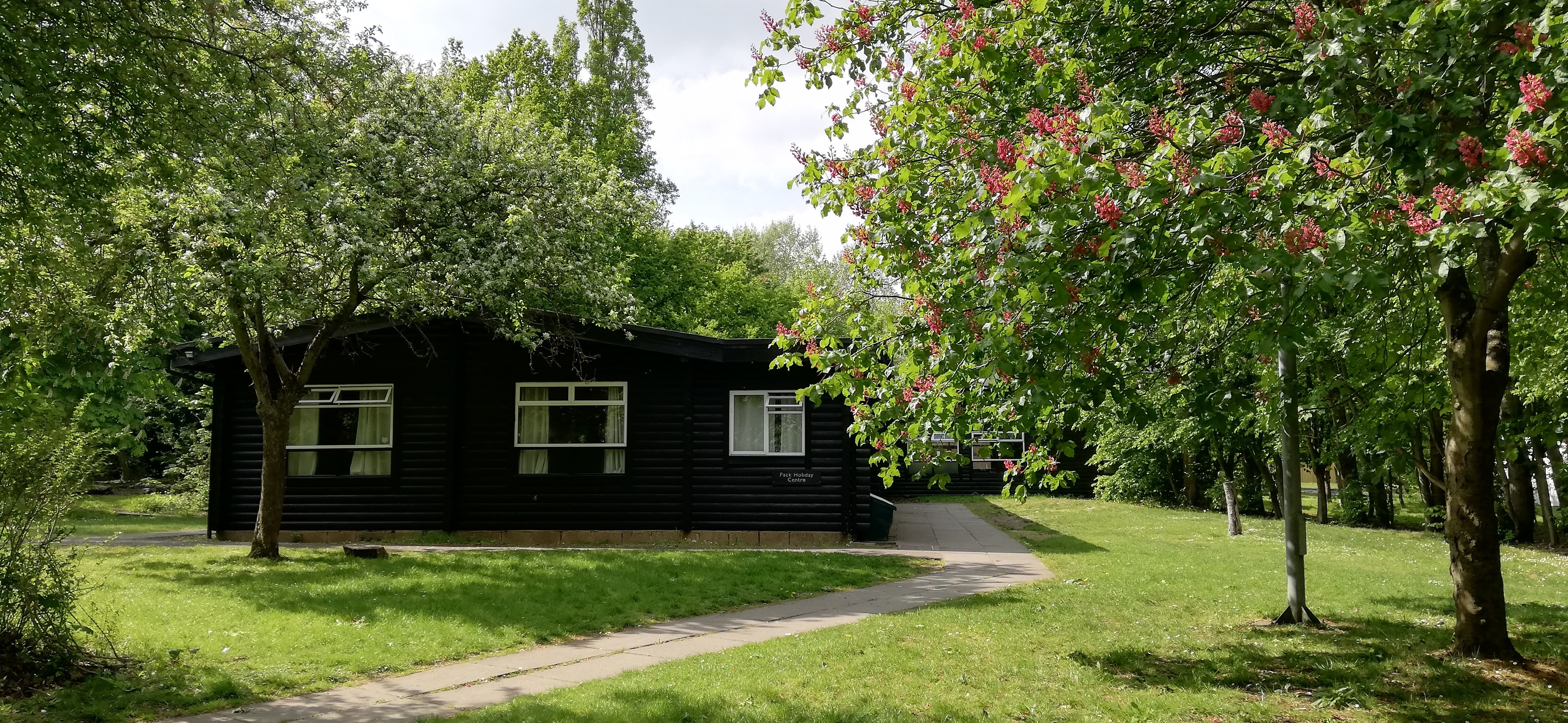 New look for Dorothy Hughes | Scouts